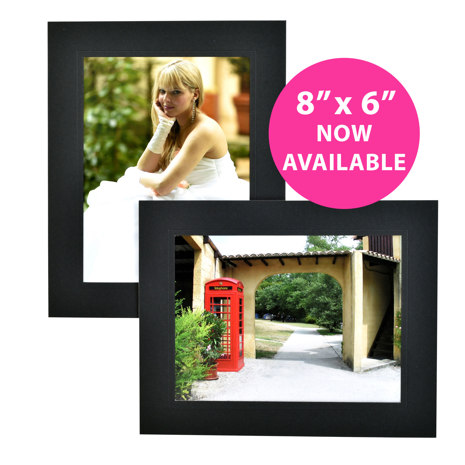 Avant Garde (Event Mount Modern) Photo Strut Mounts - Maple Framing