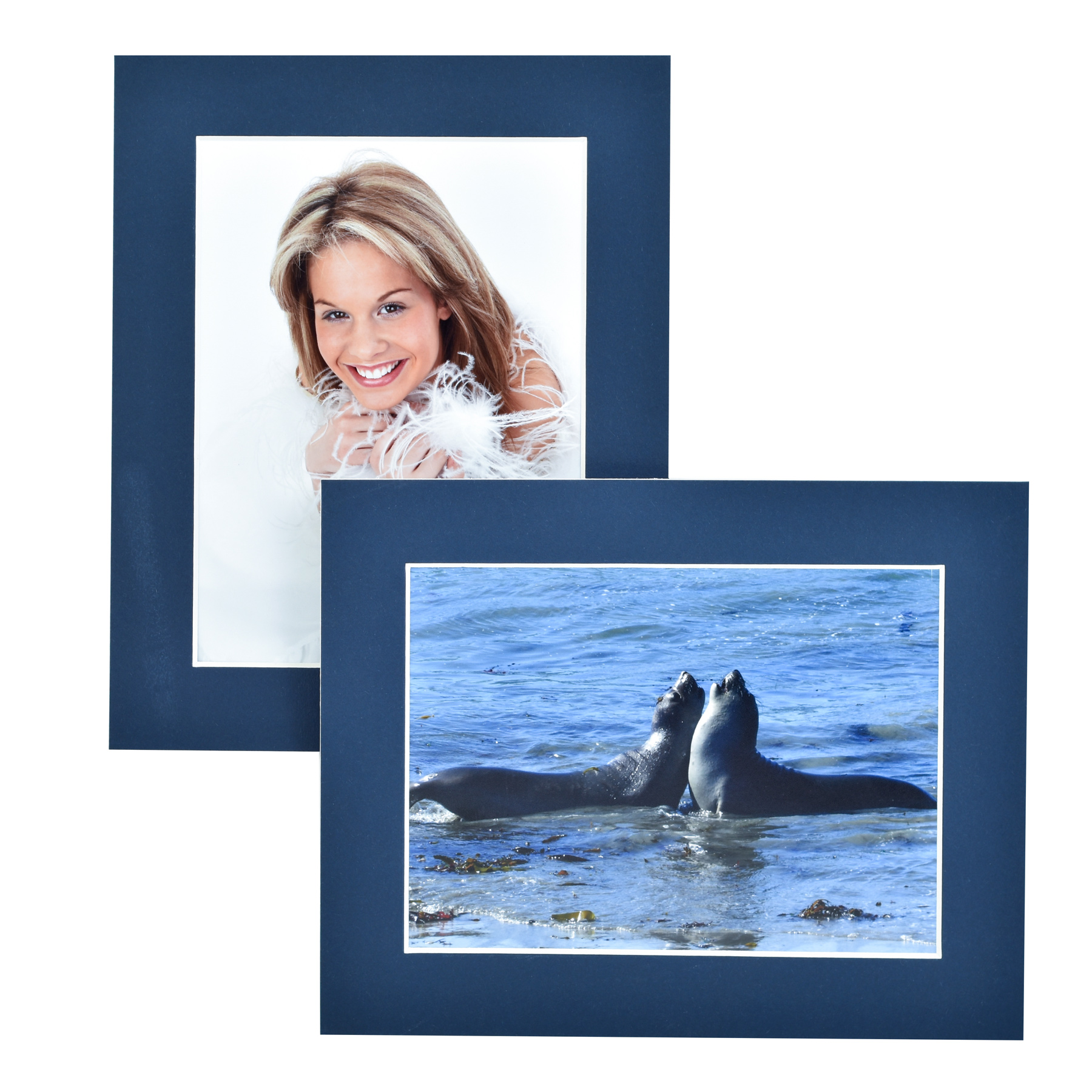 Bevelled Imperial Blue Photo Strut Mounts - Maple Framing