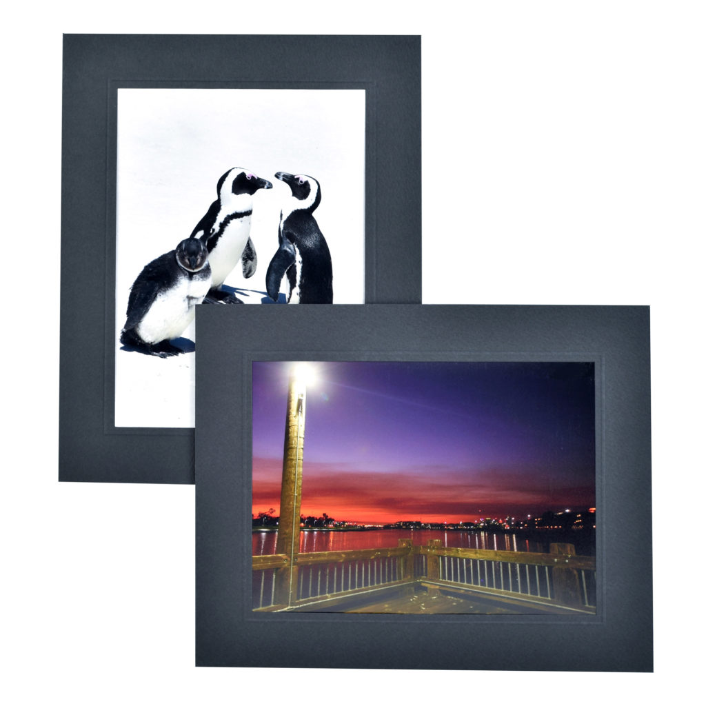 Rhapsody Black Photo Strut Mounts - Maple Framing