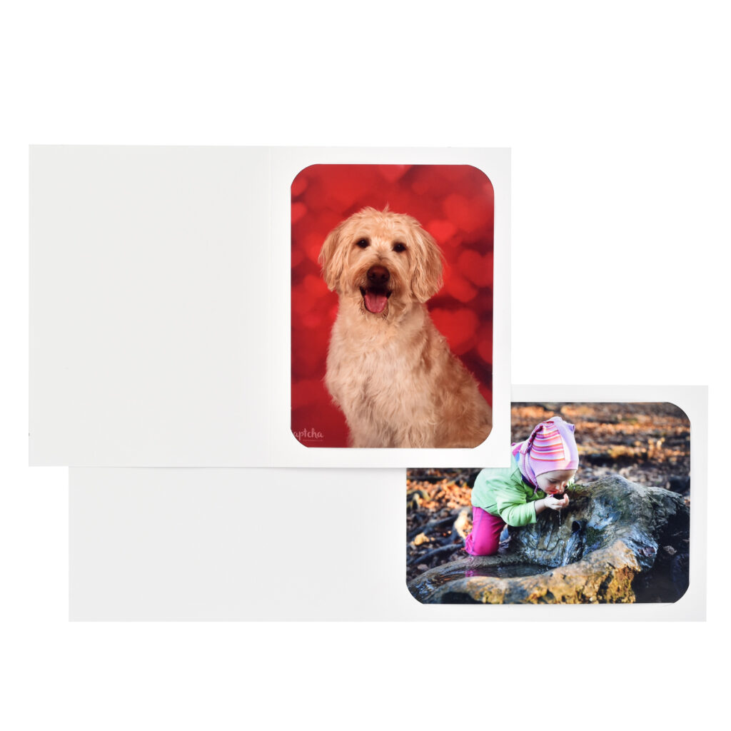 Cut Corner Photo Folders | Card Cut Corner Folders - Maple Framing