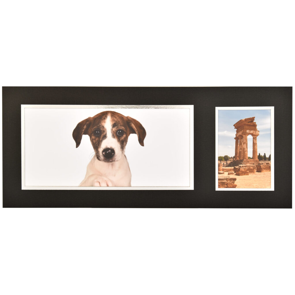 Dual Strut Mounts - Maple Framing