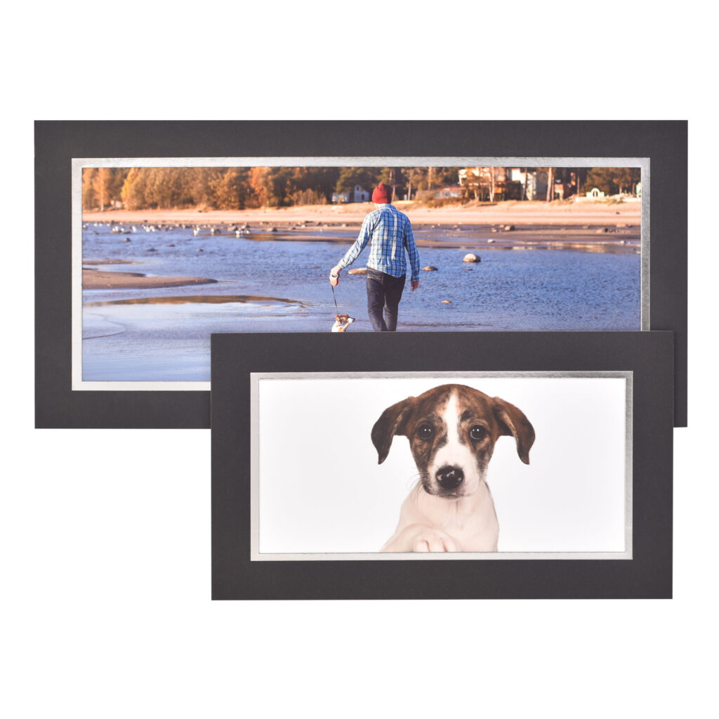 Classic Panoramic Black and Silver Photo Strut Mounts - Maple Framing