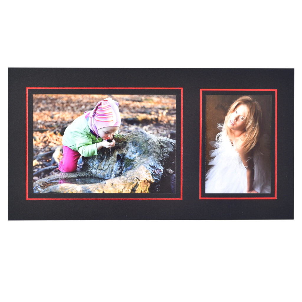 Dual Strut Mounts - Maple Framing