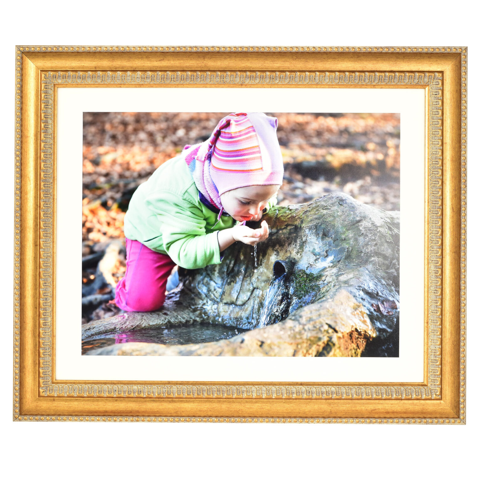 Swept Frame - Gold - Style 816 - Maple Framing